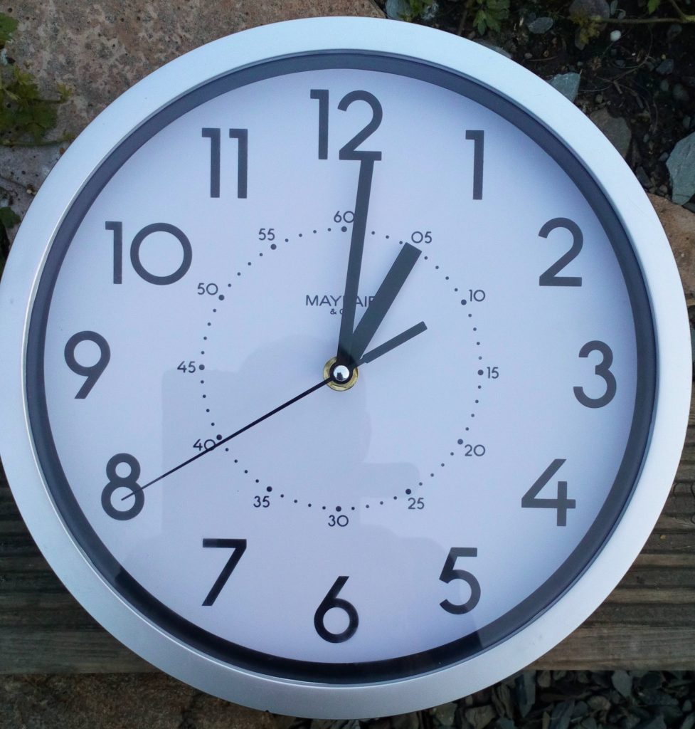 Telling the time – an introduction – nilsbird training – the blog